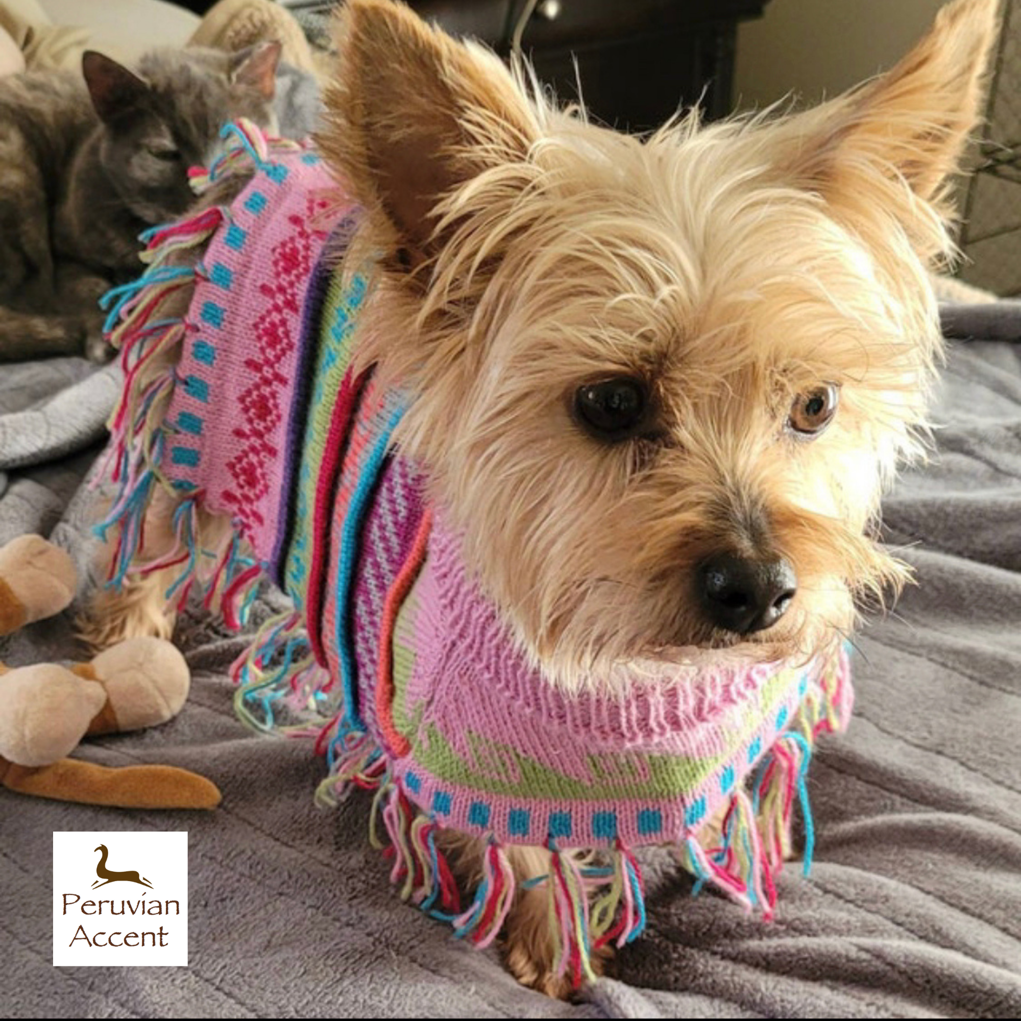Peruvian dog poncho made of Alpaca. Easy to put on and so comfy by ...