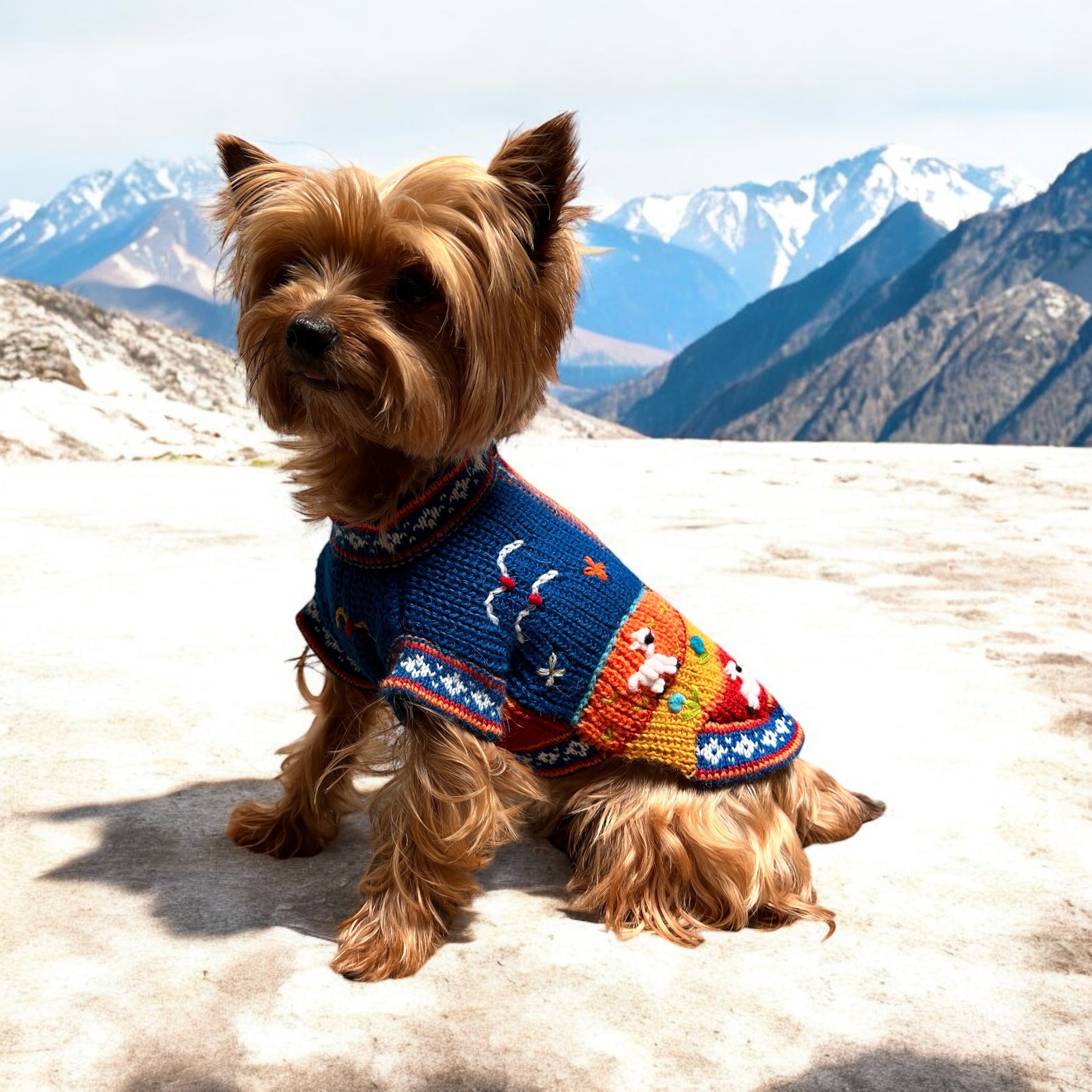 ITALIAN BLUE color Luxury Handmade Peruvian dog sweater, made of ALPACA ...