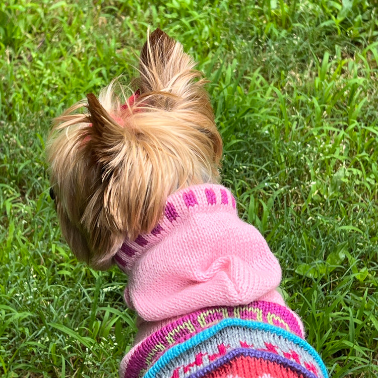 Pink Alpaca Dog Hoodie handmade in the Andes of Peru – Peruvian Accent