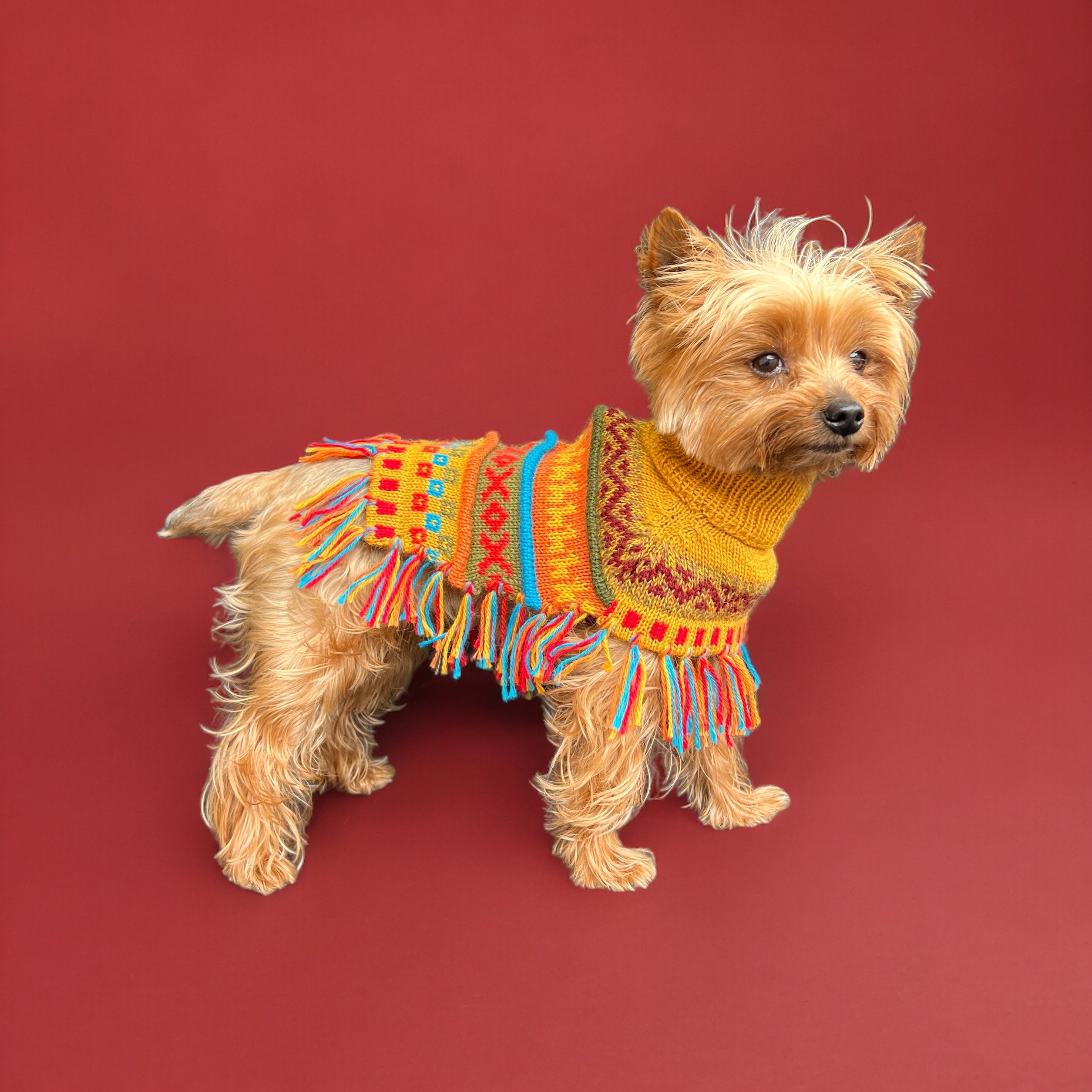 Peruvian dog poncho made of Alpaca. Easy to put on and so comfy by ...