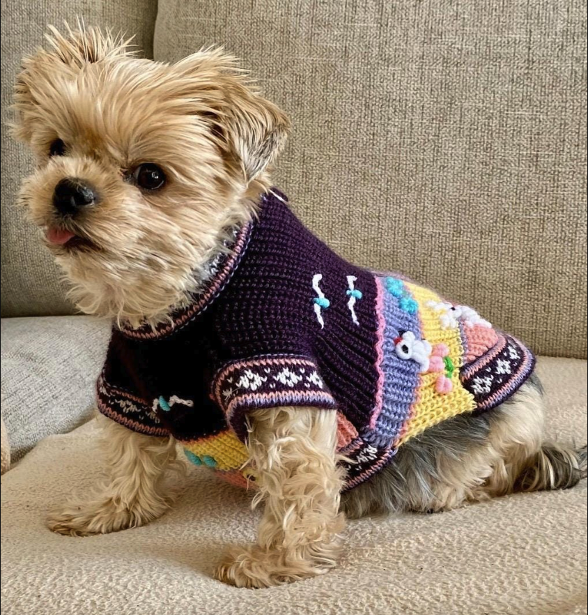 CHICHA PURPLE color Luxury Handmade Peruvian dog sweater, made of ...